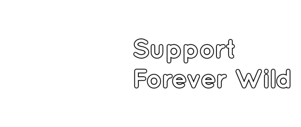 Forever Wild – Our Societies | Our Earth | Our Future