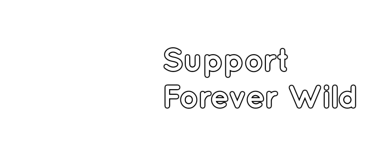 Forever Wild – Our Societies | Our Earth | Our Future