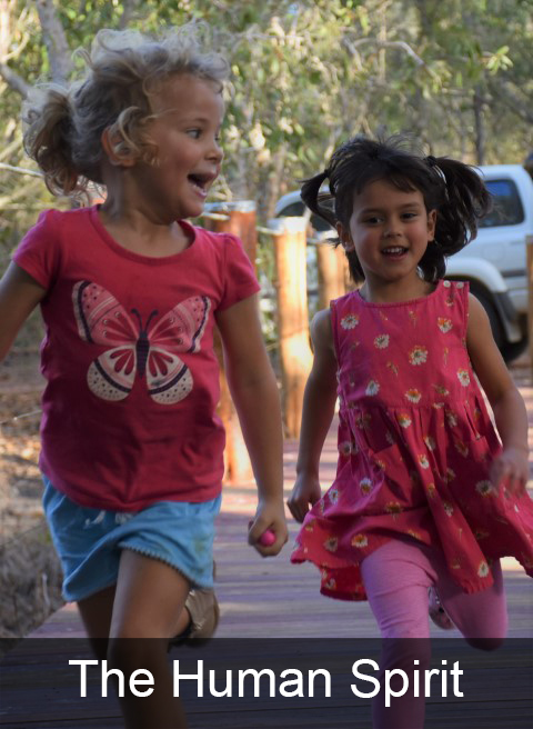 Support Our Planet – Forever Wild